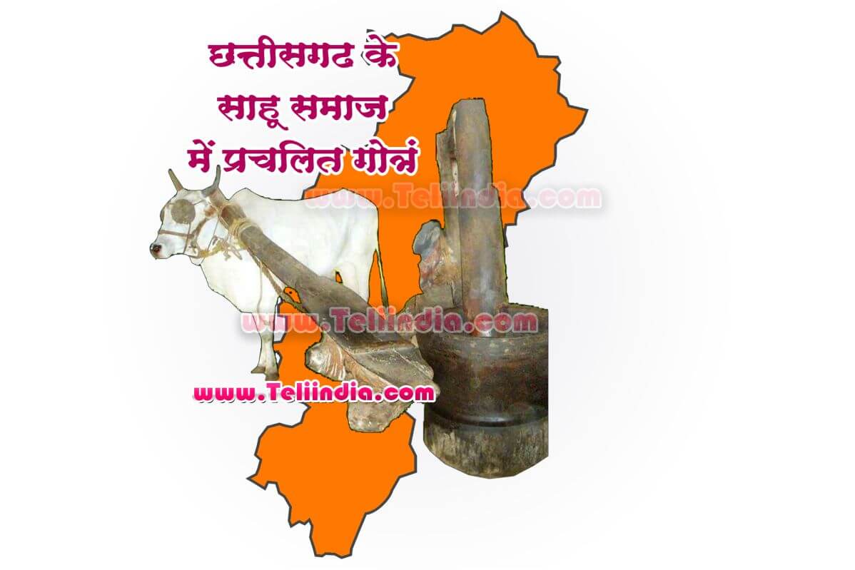 Chhattisgarh Teli Sahu Samaj Gotra - तेली समाज